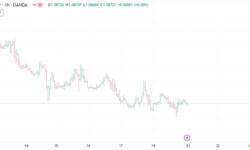 Forex Basics – Septa Fx | Global LTD