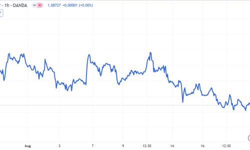 Forex Basics – Septa Fx | Global LTD